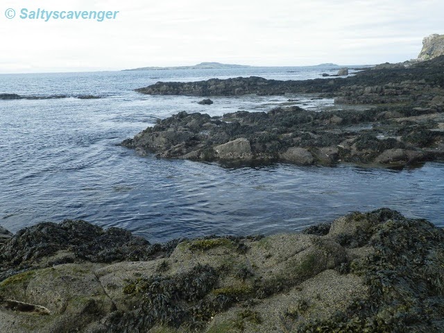 Rock Pooling: Examples of littoral rock habitats: