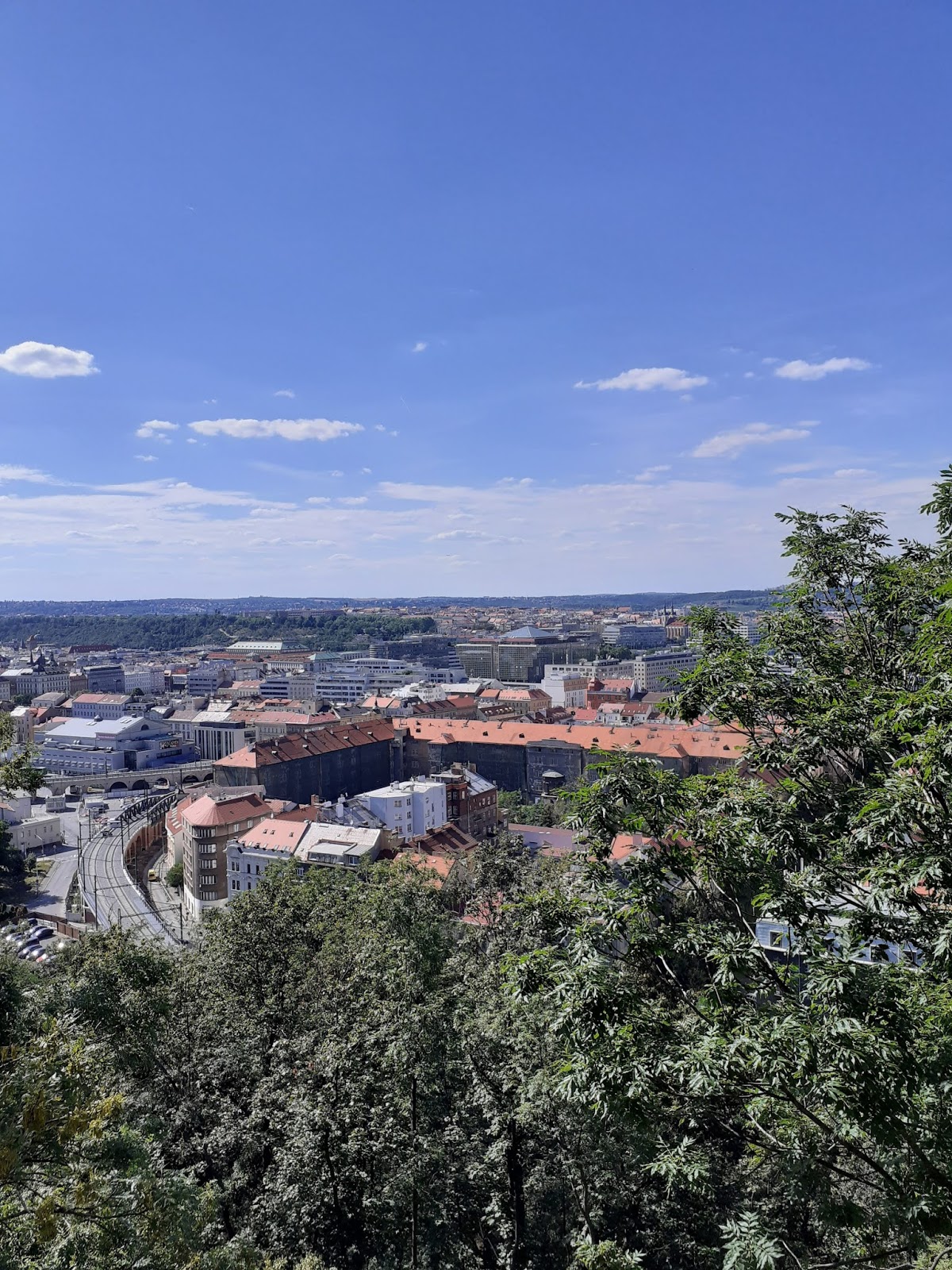 Sister Brylee Lewis: "Chicken Nuggets, Grand McSundae and Alcohol"