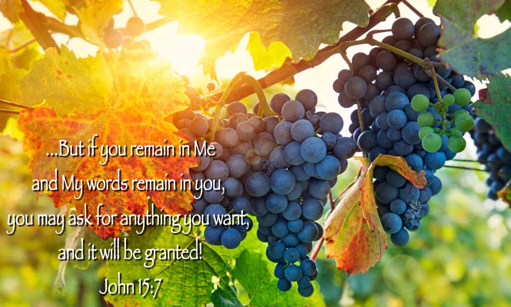 How Exactly Do We Abide John 15 Women In The Word