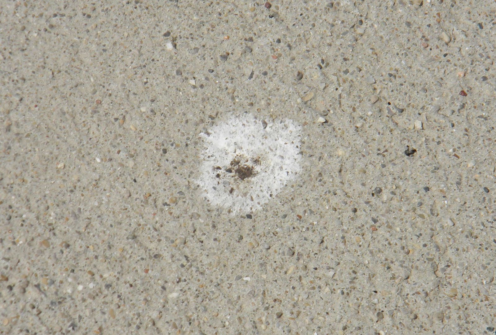 Always, Katie: May 2011