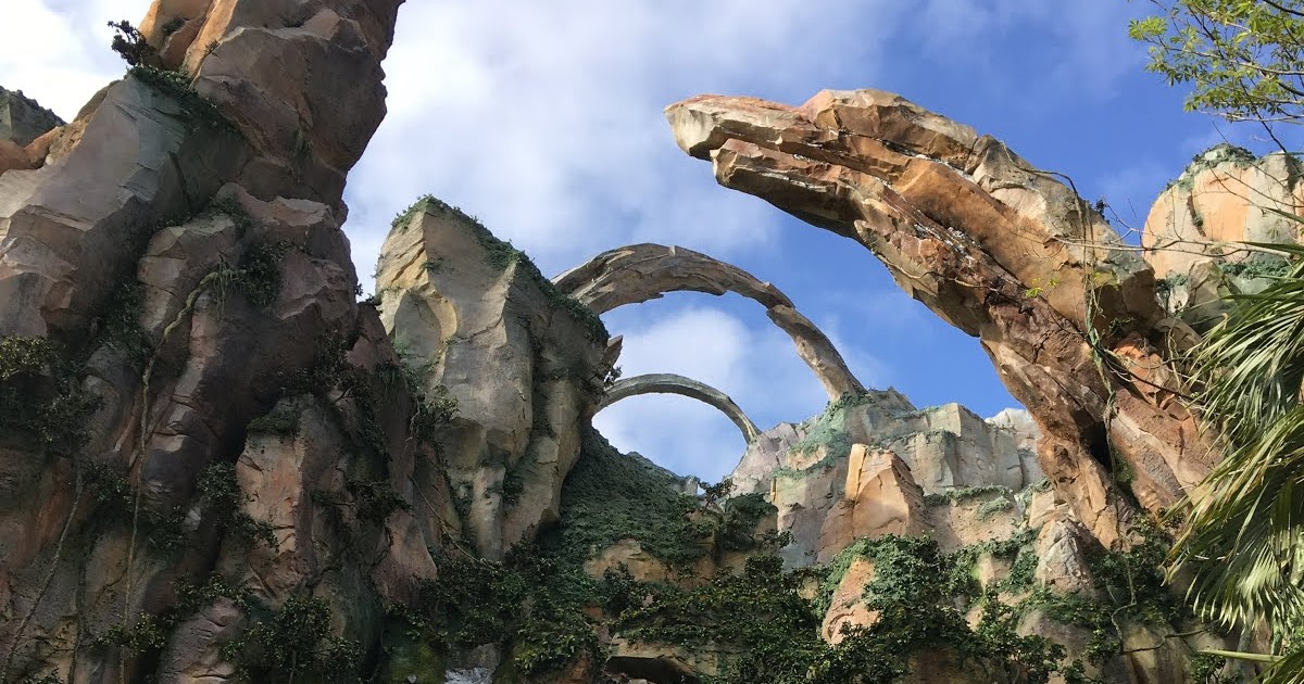 Animal Kingdom, Avatar World, and Foods!