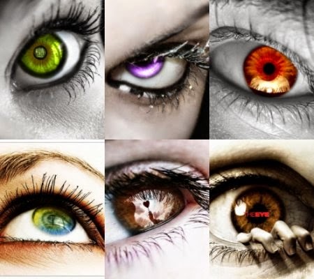 Human Eyes Colors ~ Optometrist Salary