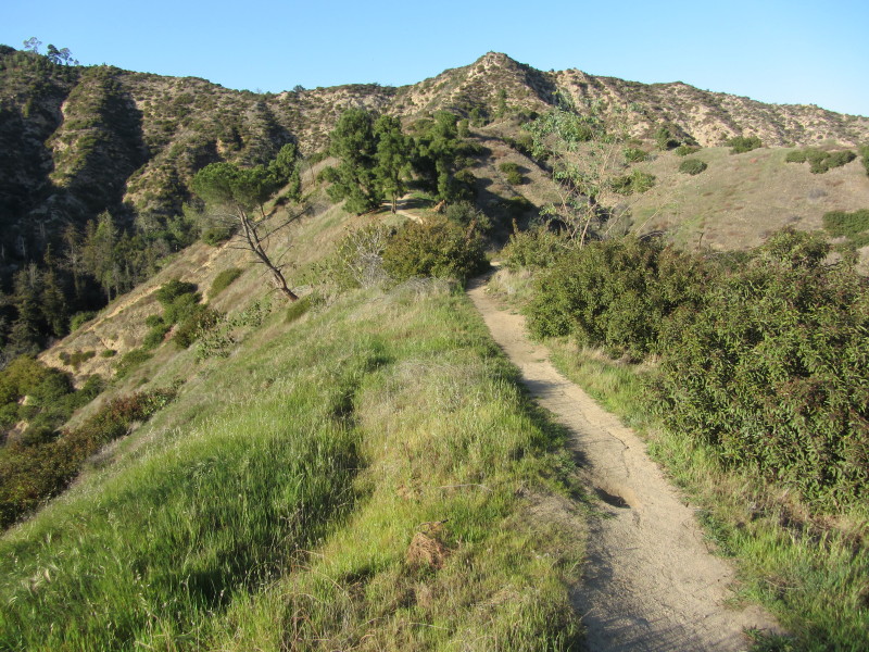 Dan's Hiking Blog: Hogback, Glendale, Beacon in Griffith Park - Feb. 17 ...