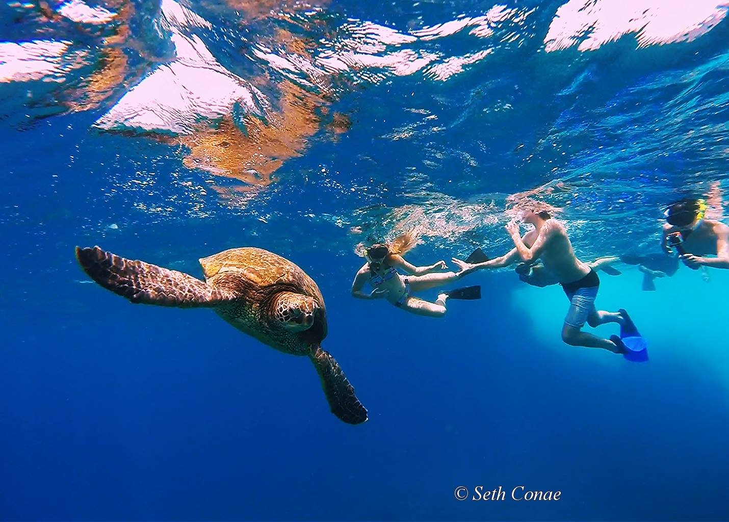 Kona Ocean Adventures