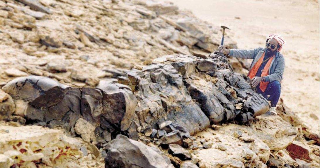 Giant Mushrooms Reigned the Earth | Geology In