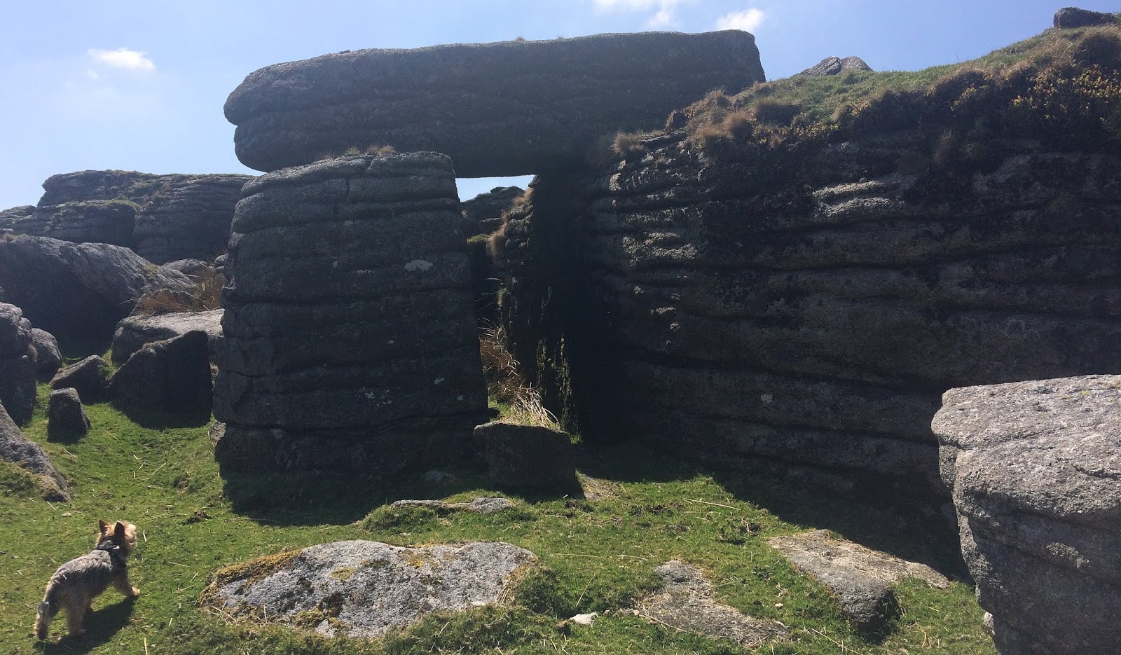 Max Piper - Tor Bagger: Dartmoor: The Tors and Rocks out of Belstone
