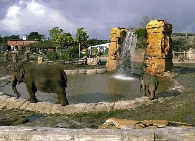 Chester Zoo, Cheshire, UK (with Map & Photos)