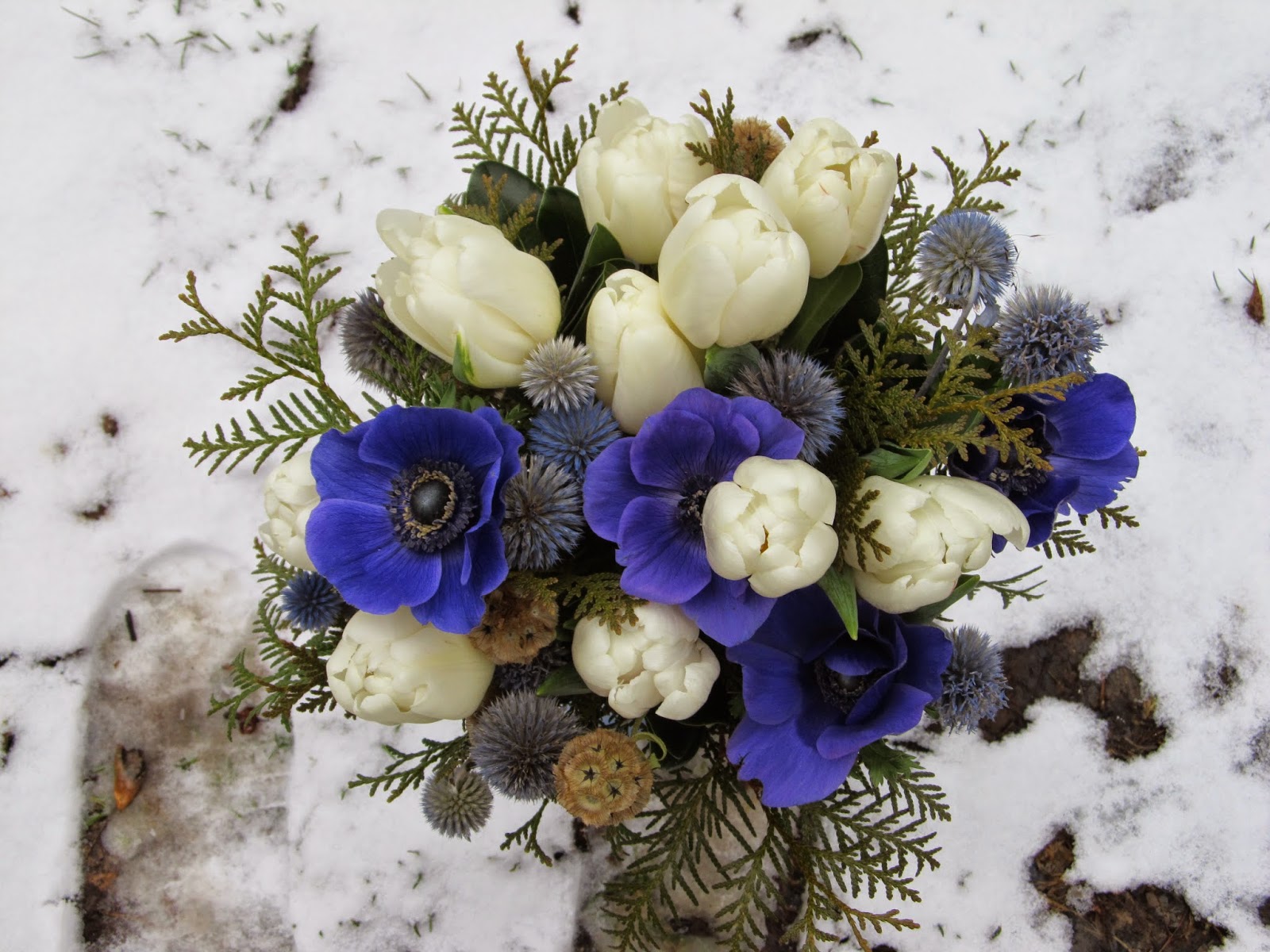 Cut Flower List at Irene Rayburn blog