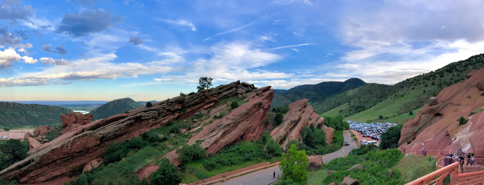 robbie's eye - a view from robbie's eye ( and camera) to yours ...