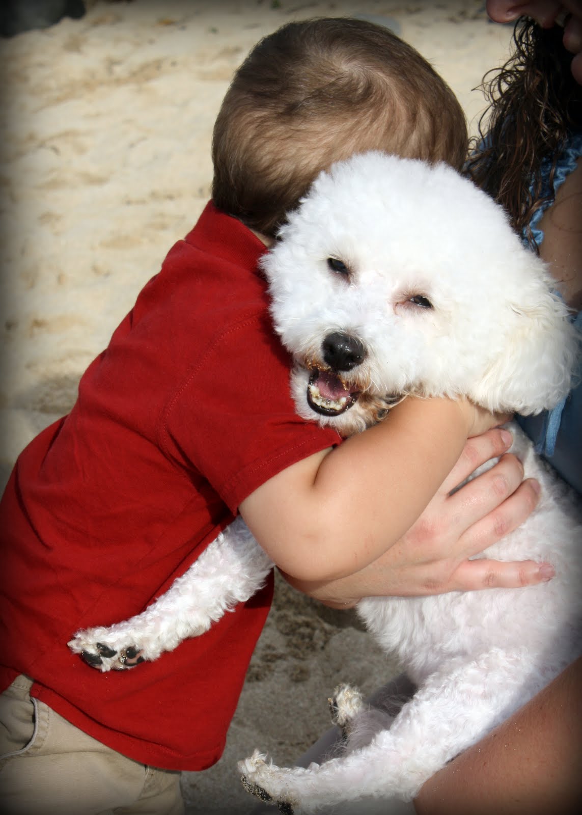 Tails to Tell: Tail Wagging Tuesday: Special Pup Feature- Riley