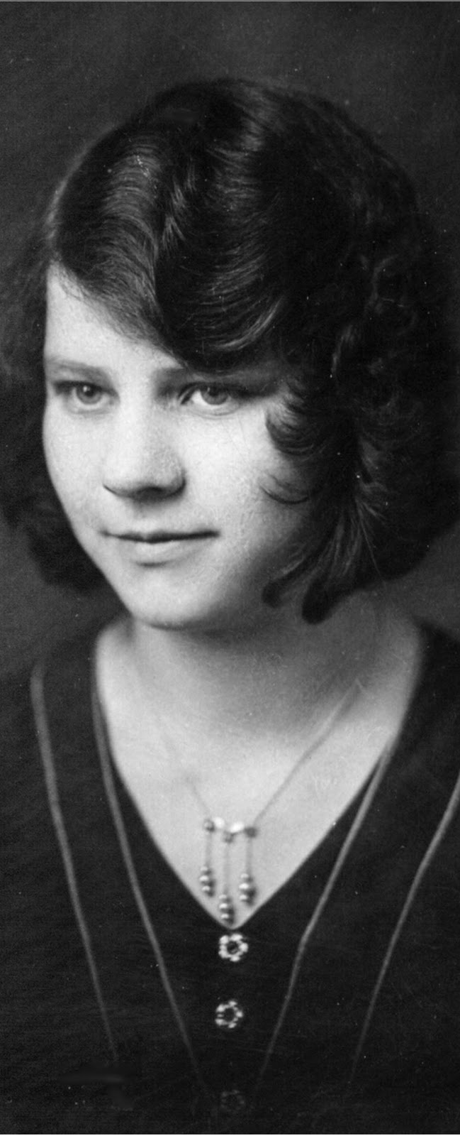 Roots and Branches: Cook