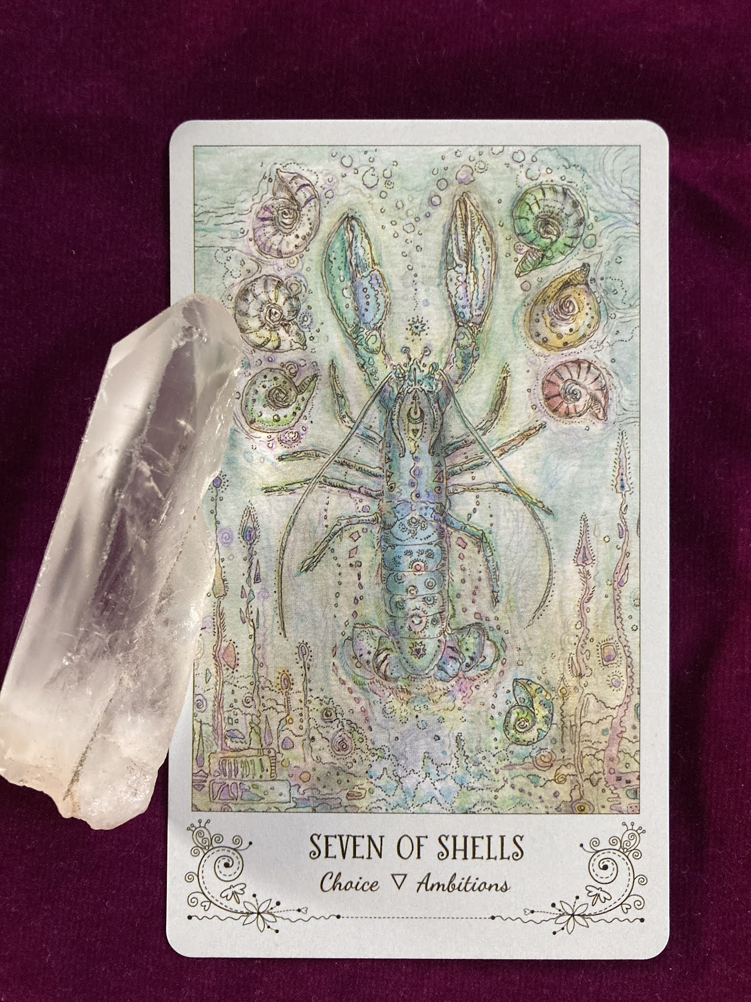 Tarot Musings: Card of the day: Seven of Shells