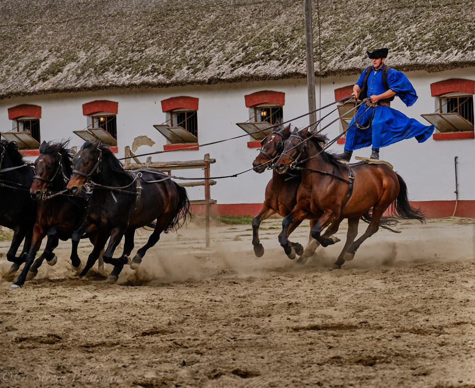 No Better Life: The Csikós