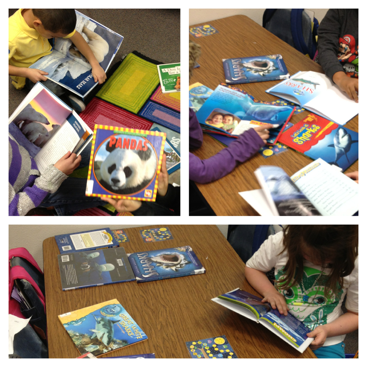 Running a Successful Research Project in K-2: All About Books! - Susan ...