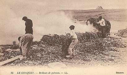 French Vocabulary Illustrated: goémon