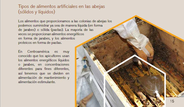 LA COLMENA: COMO SE DEBE ALIMENTAR UNA COLMENA EN ÉPOCA DE INVIERNO