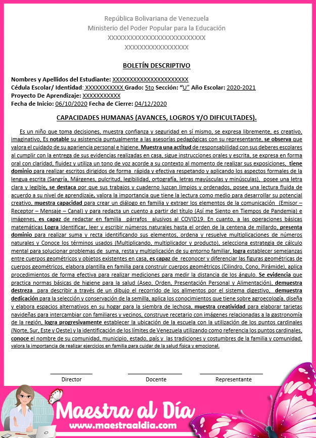 Modelos De Boletas Descriptivas