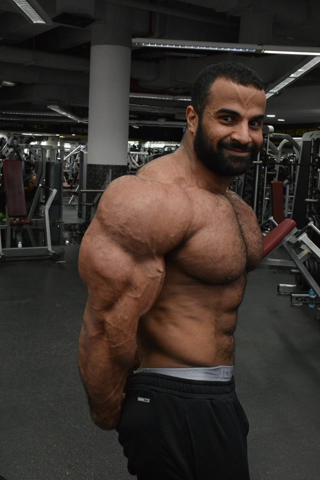 Muscle Lover: Egyptian bodybuilder Ahmed El Wardany - Gold's Gym 2017