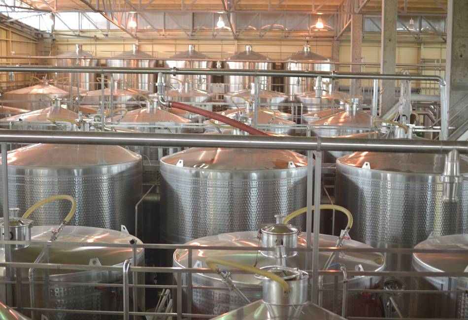 Recorrimos las instalaciones de punta a punta!