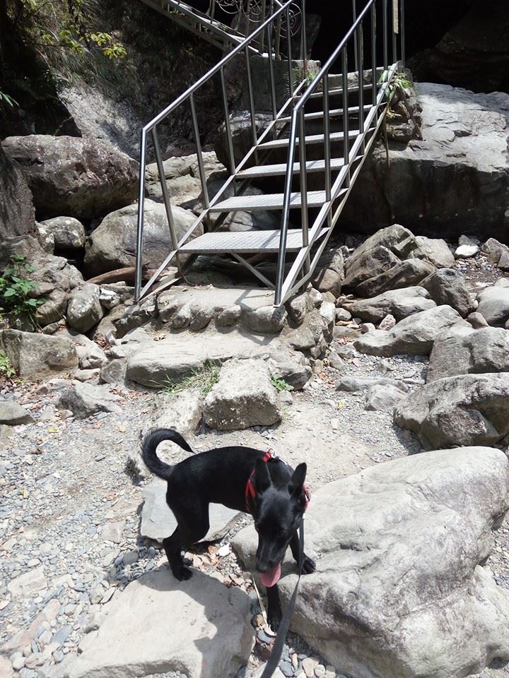 猴洞坑瀑布的洗禮 礁溪易親近的瀑布 礁溪瀑布大公開 - 健行筆記