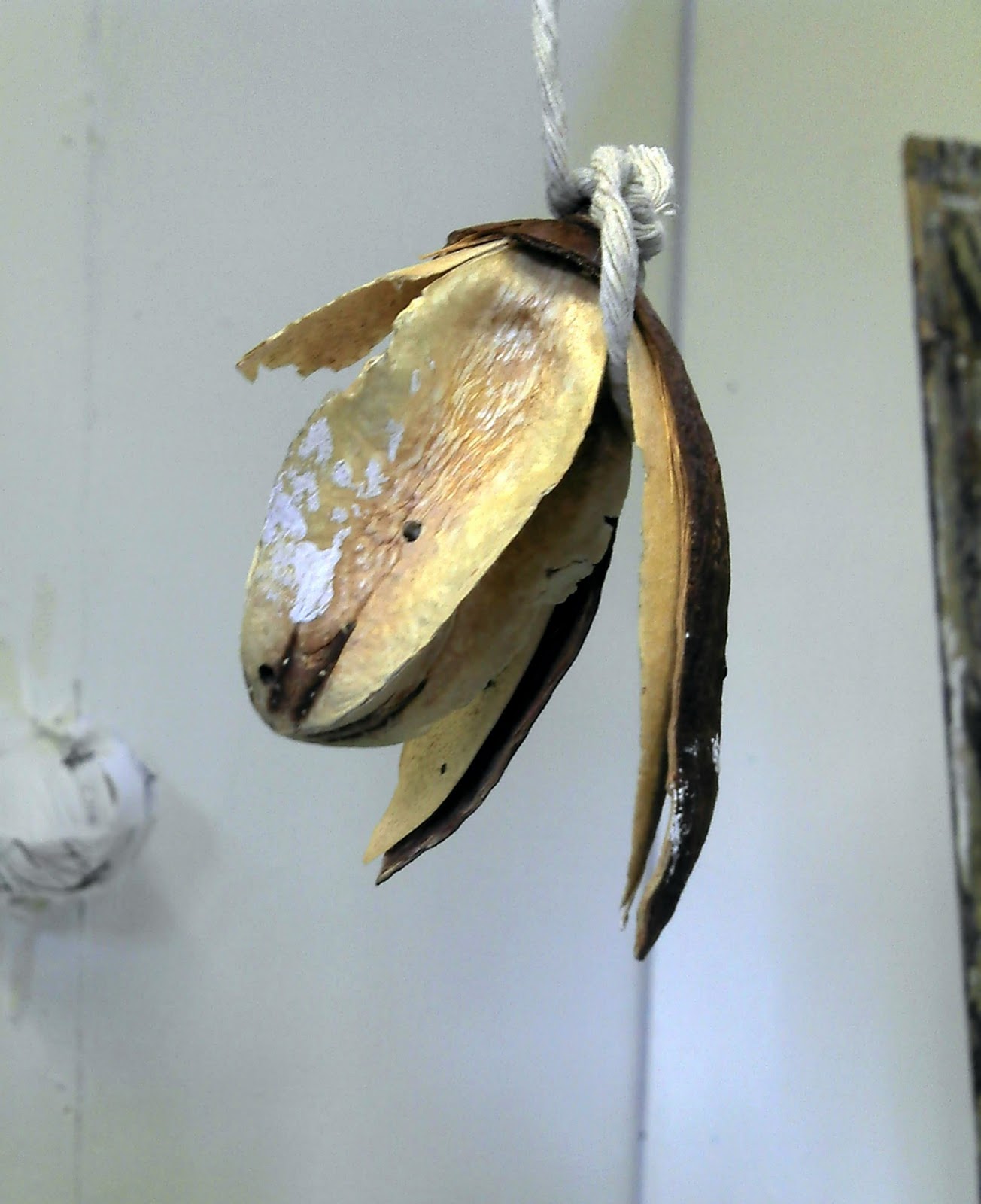 Ella Northedge: Suspended Object // Tone