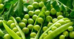 QuLifeNATURAL: GROCH ZWYCZAJNY czy NIEZWYKŁY CUD NATURY