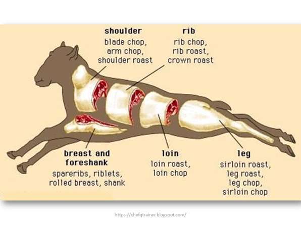 CHEF Q: Lamb Cutting Method