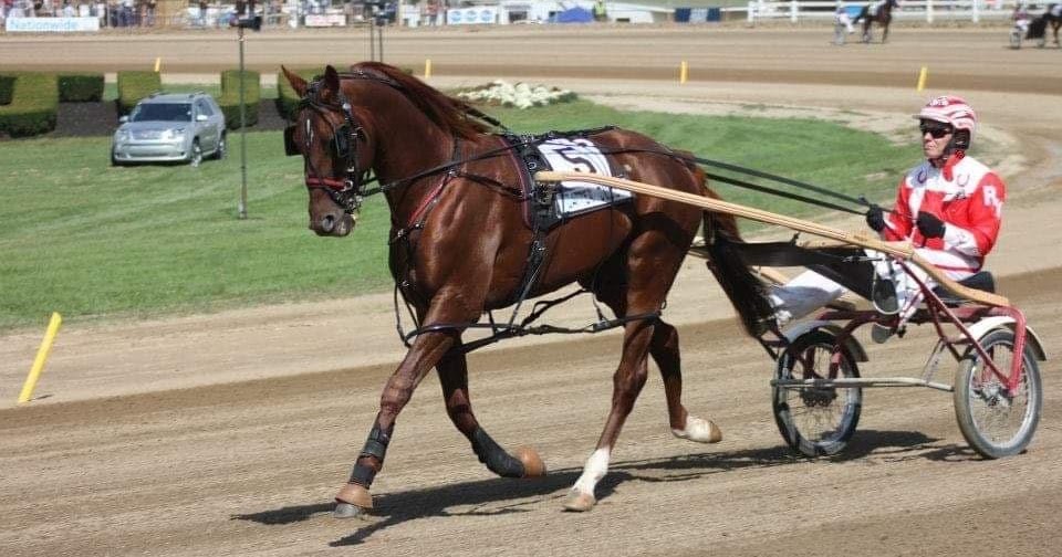 Nathan Bain Harness Racing: Harness Racing Trainers : Back Bone of The ...