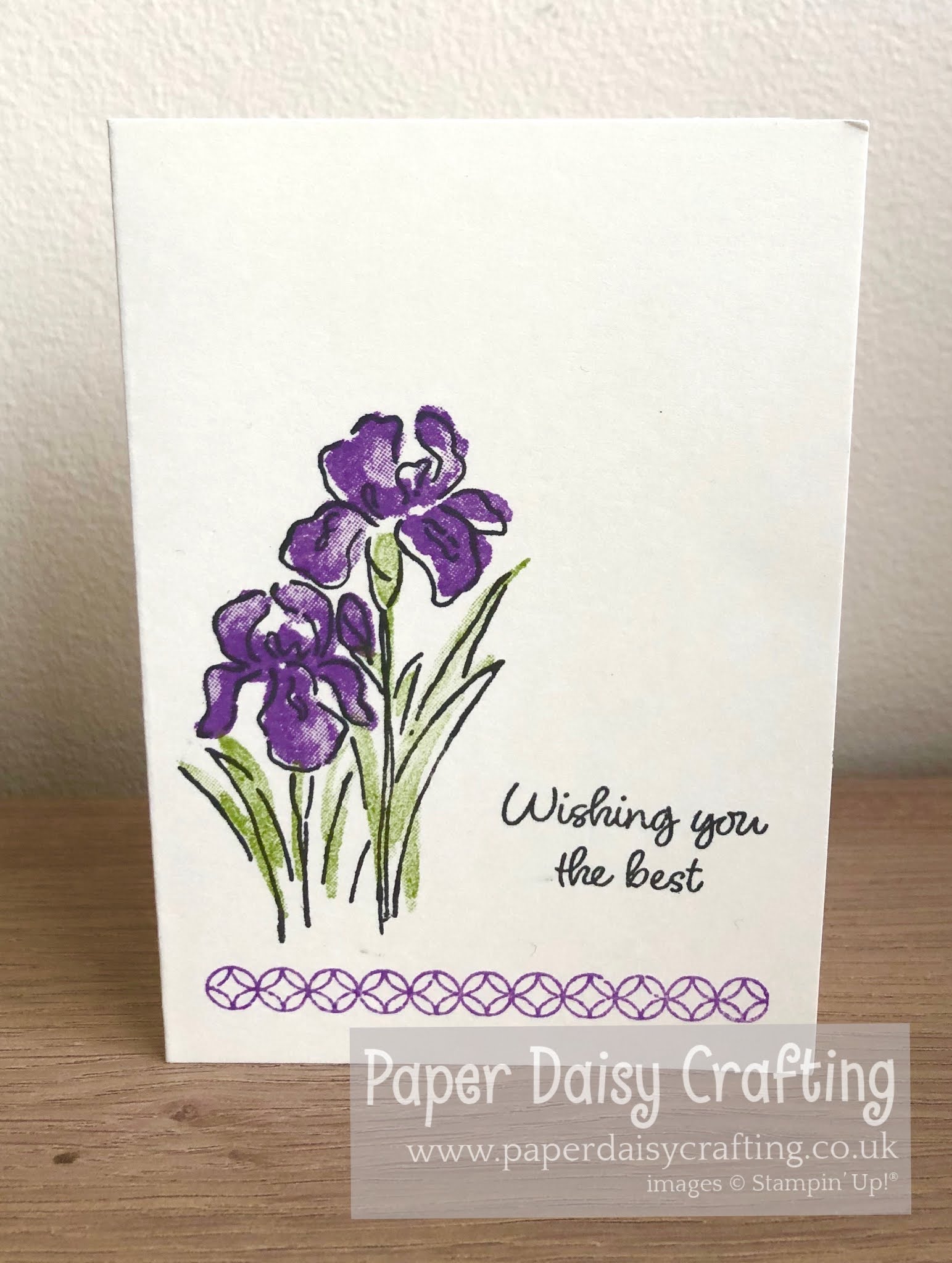 Paper Daisy Crafting: #6 Card Making For Beginners - Two Step Stamping