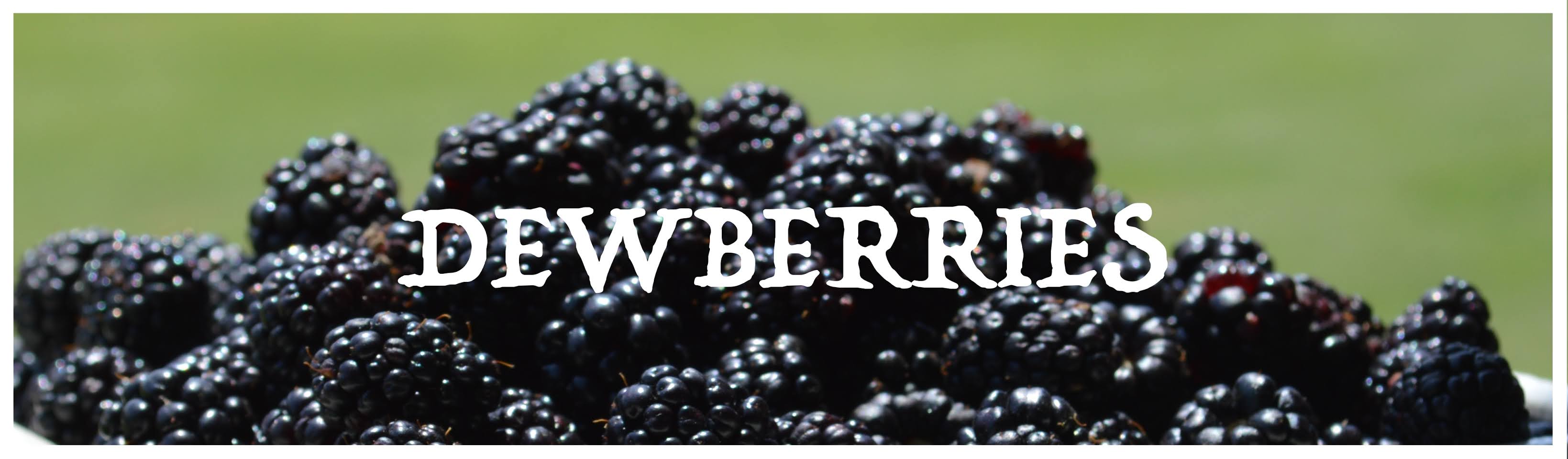 Two Men and a Little Farm: DELAYED DEWBERRY SEASON IS HERE
