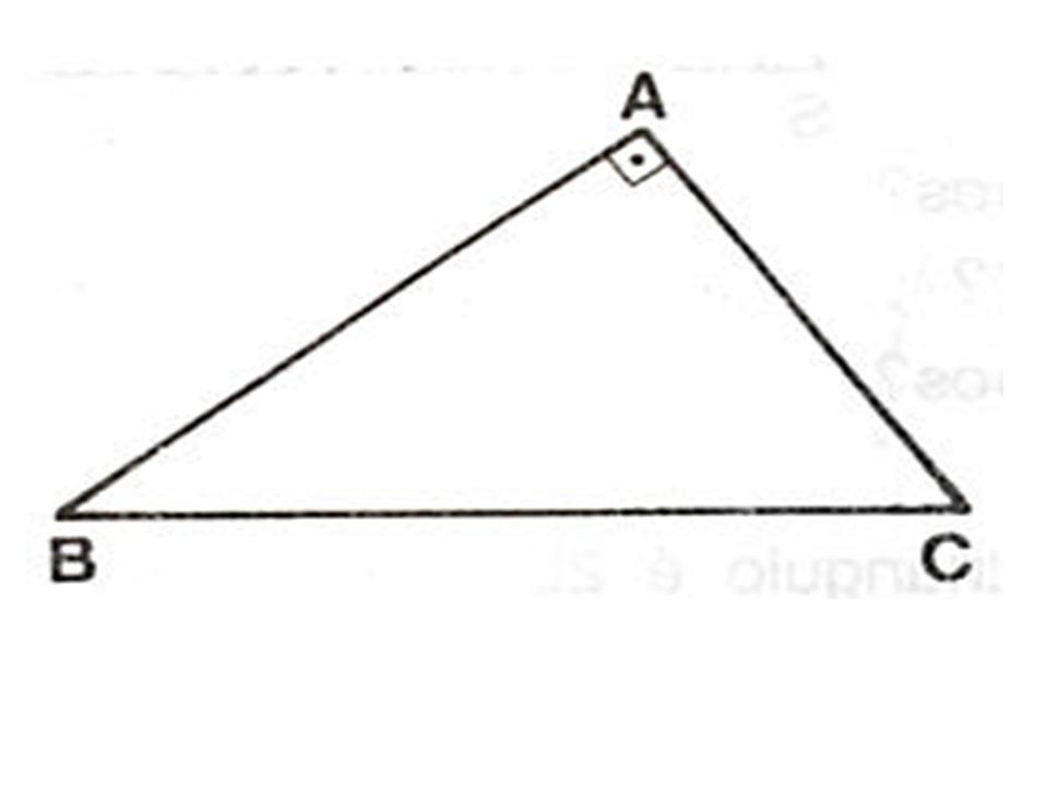 7º SÉRIE - 8º ANO: 13 - TRIÂNGULOS