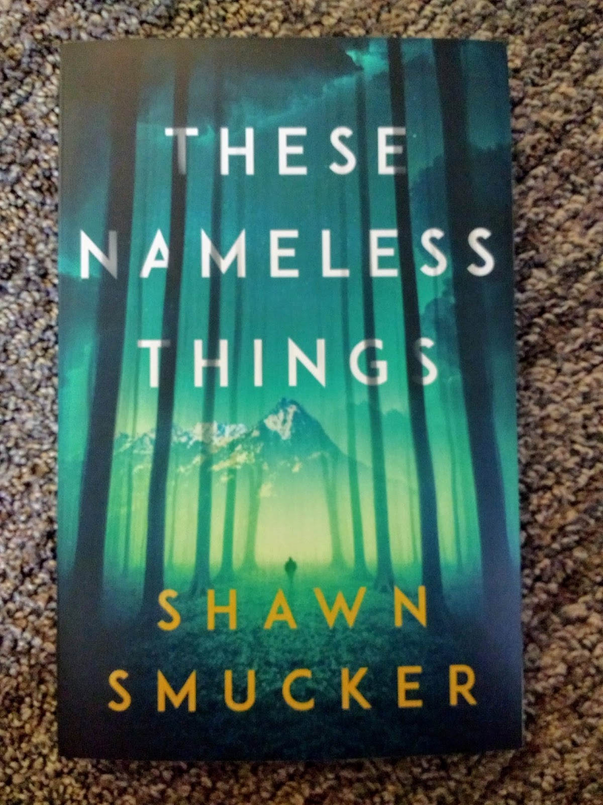 These Nameless Things, by Shawn Smucker: A Review