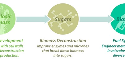 Next Biotechnology News | eBio World: Bioenergy