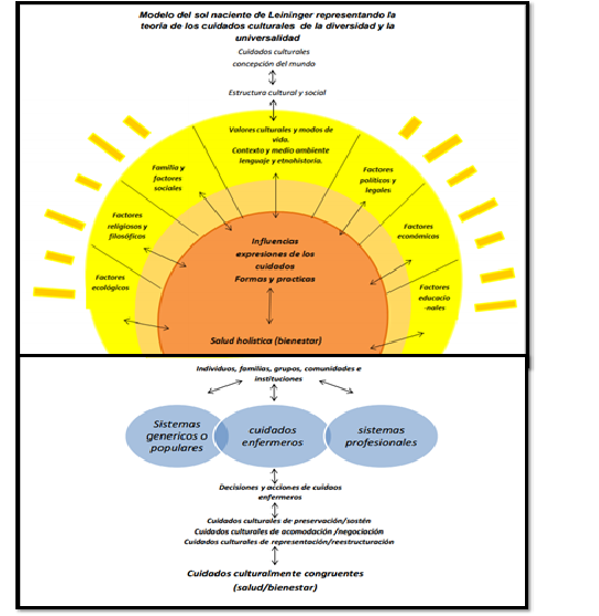 Collective Health: UNIDAD 2