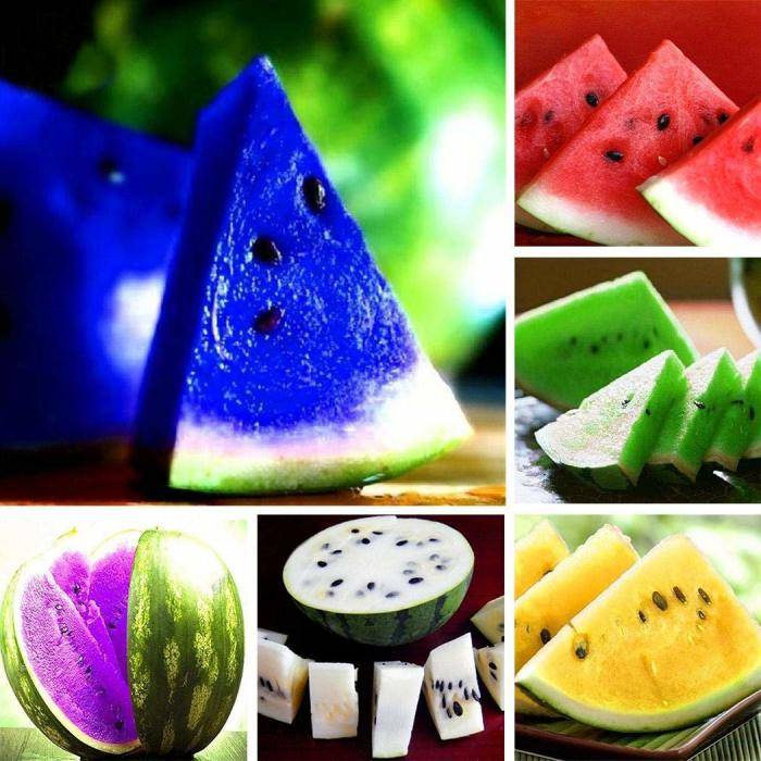 Chingum Discover Curiosities Multi Colored And Vibrant Vegetables chingum-discover-curiosities-multi-colored-and-vibrant-vegetables