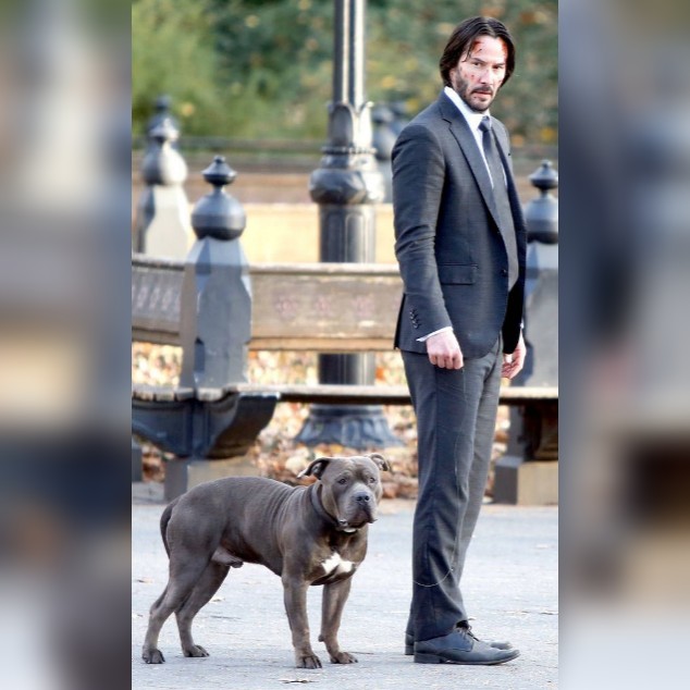 Keanu Charles Reeves Biography,Age,Height,Lifestyle,Career& Net Worth