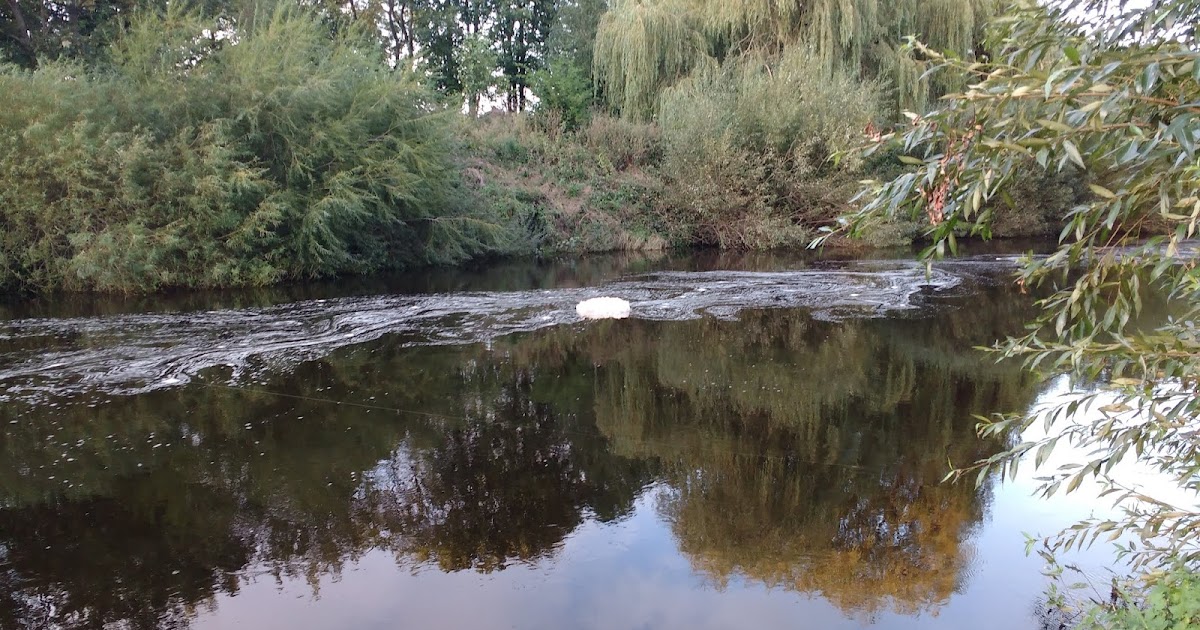 Jorvik Angler: The Ure Turns to Guinness