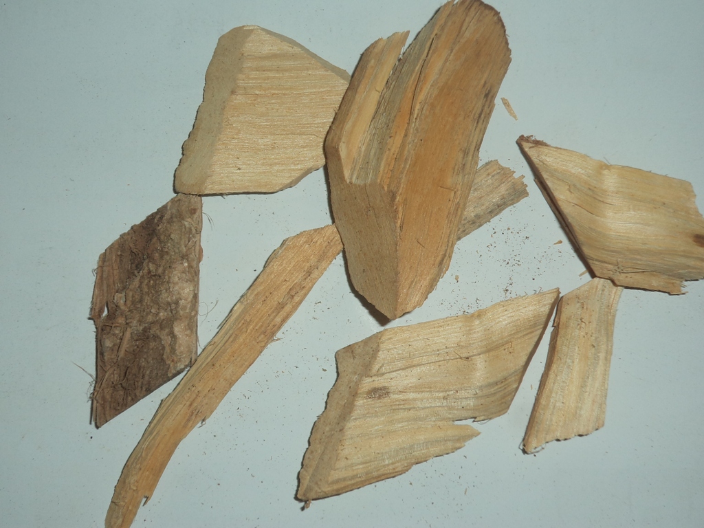 Beli / බෙලි / Bilva / Aegle marmelos / Bengal Quince / Bilva, Śandilya ...