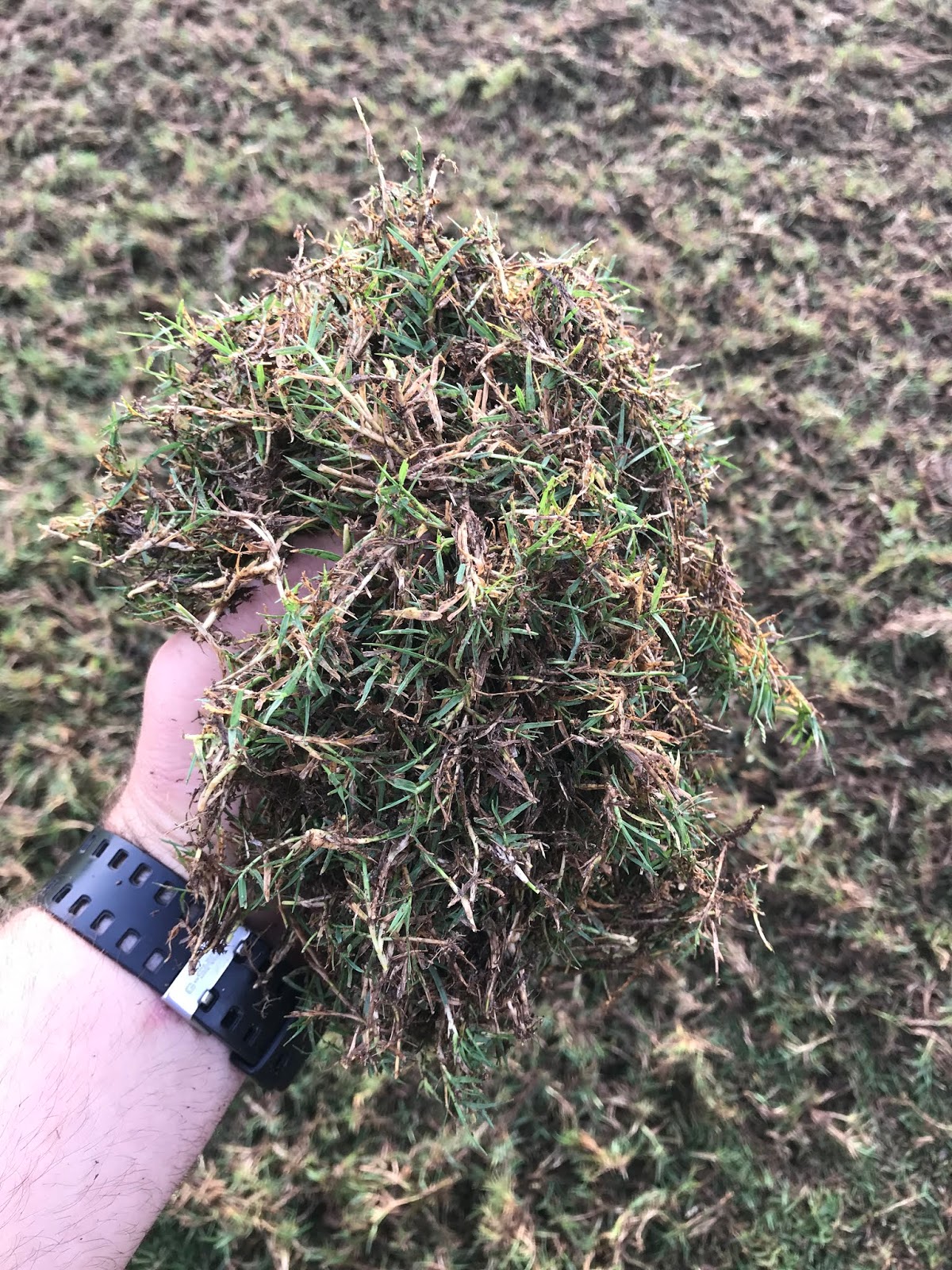 Marietta Country Club Grounds: Verticutting Fairways