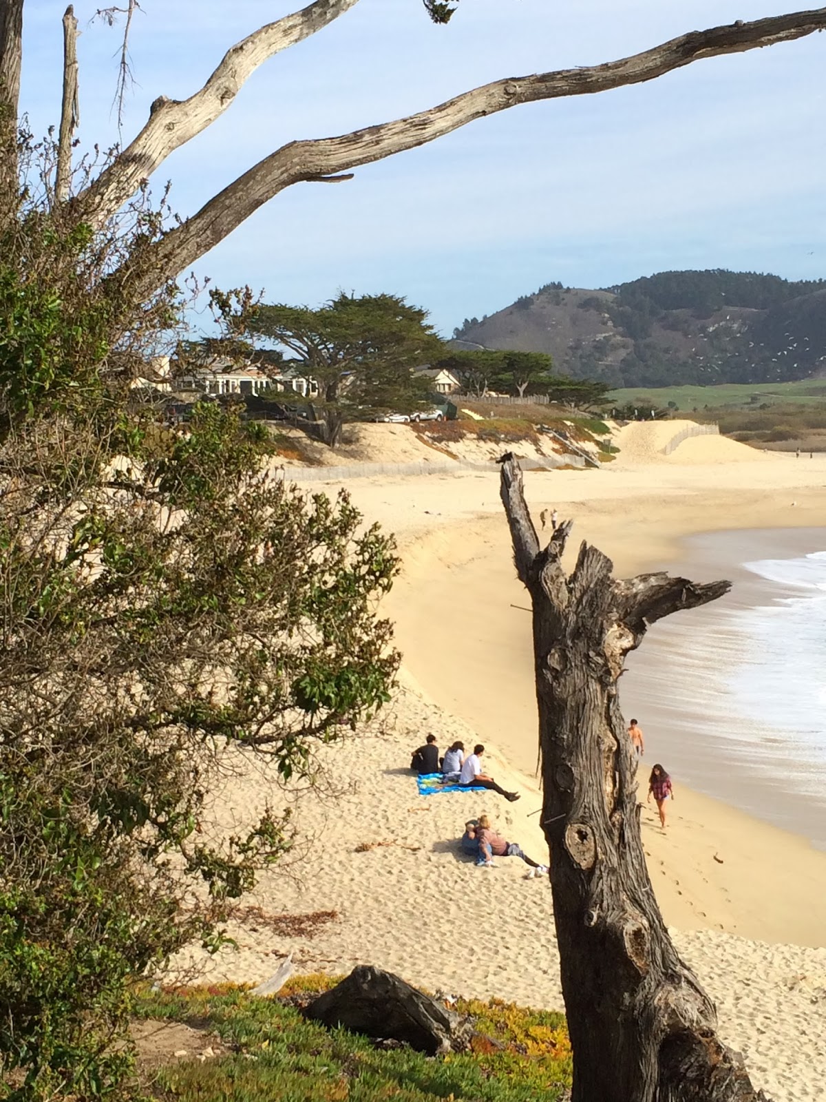 February in Carmel & Home - Northern California Style