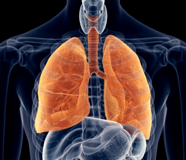 Definisi Pneumonologi - DWI PURWANTO