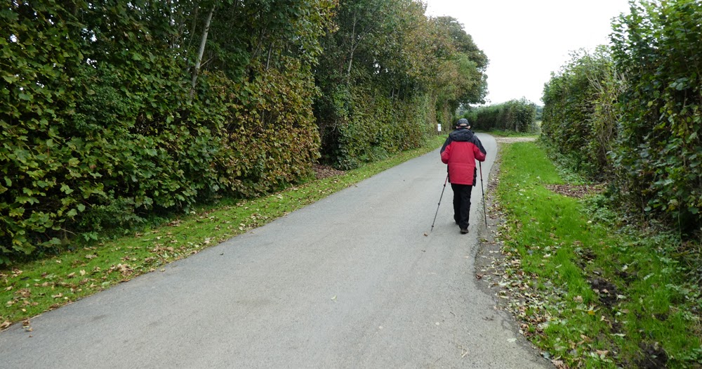 conradwalks: Farleton View