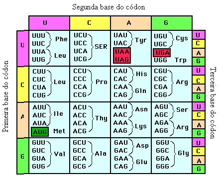ELVI: unidad 7 traduccion