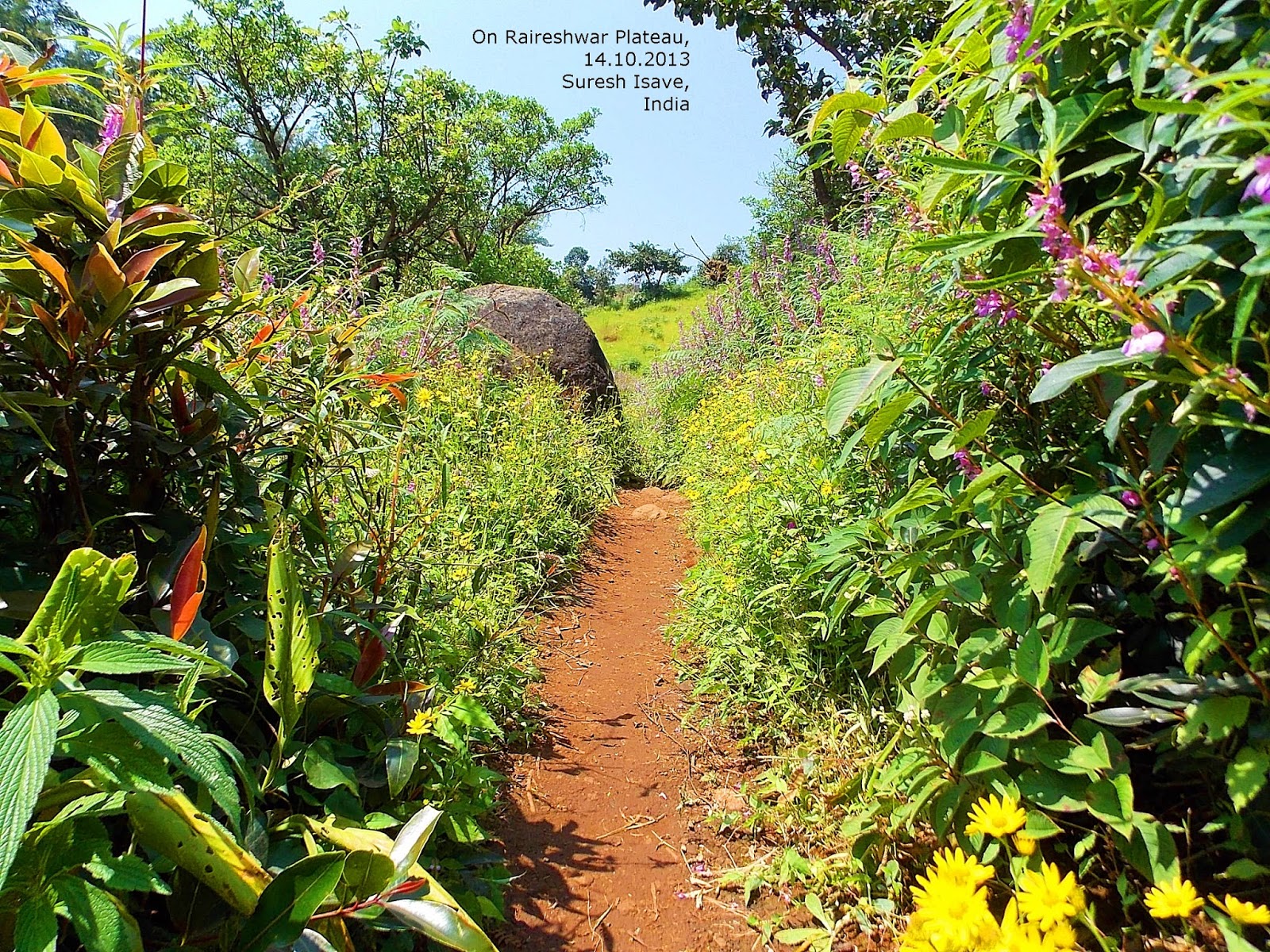 My Treks n Tours: Raireshwar Fort Trek