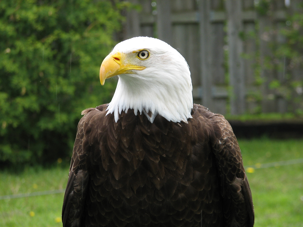 Yuzhi Qiao: Day Two: Mount Royal