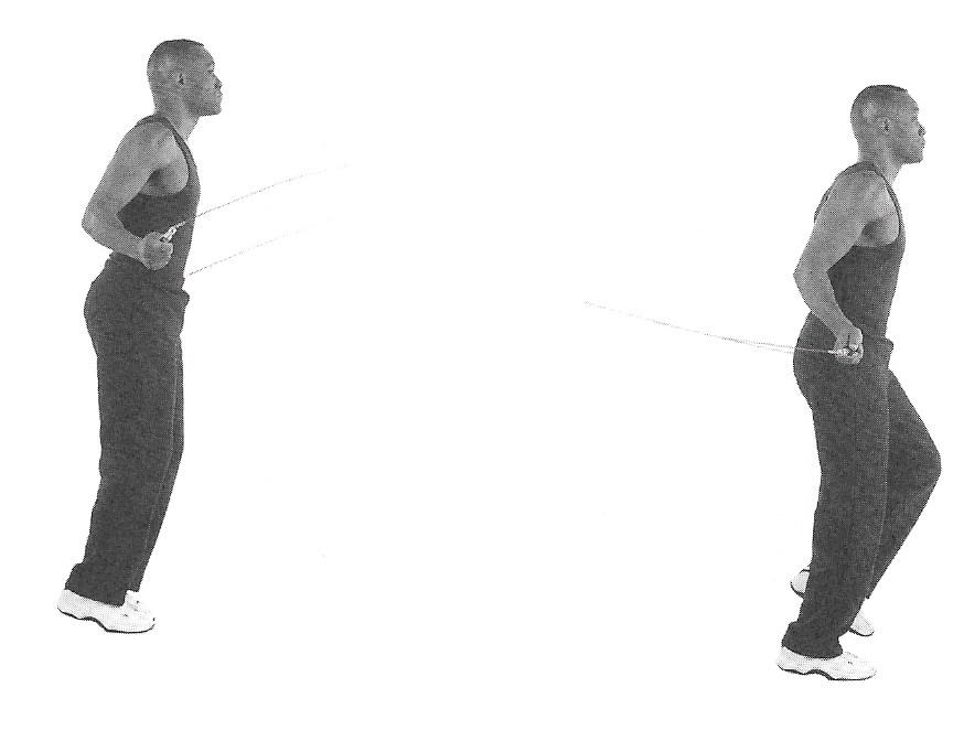 LOS 15 PASOS DE COMBA