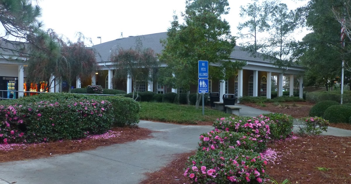 Me, dog, car.: Georgia Rest Area No. 105, I-95. Brunswick, GA 31525