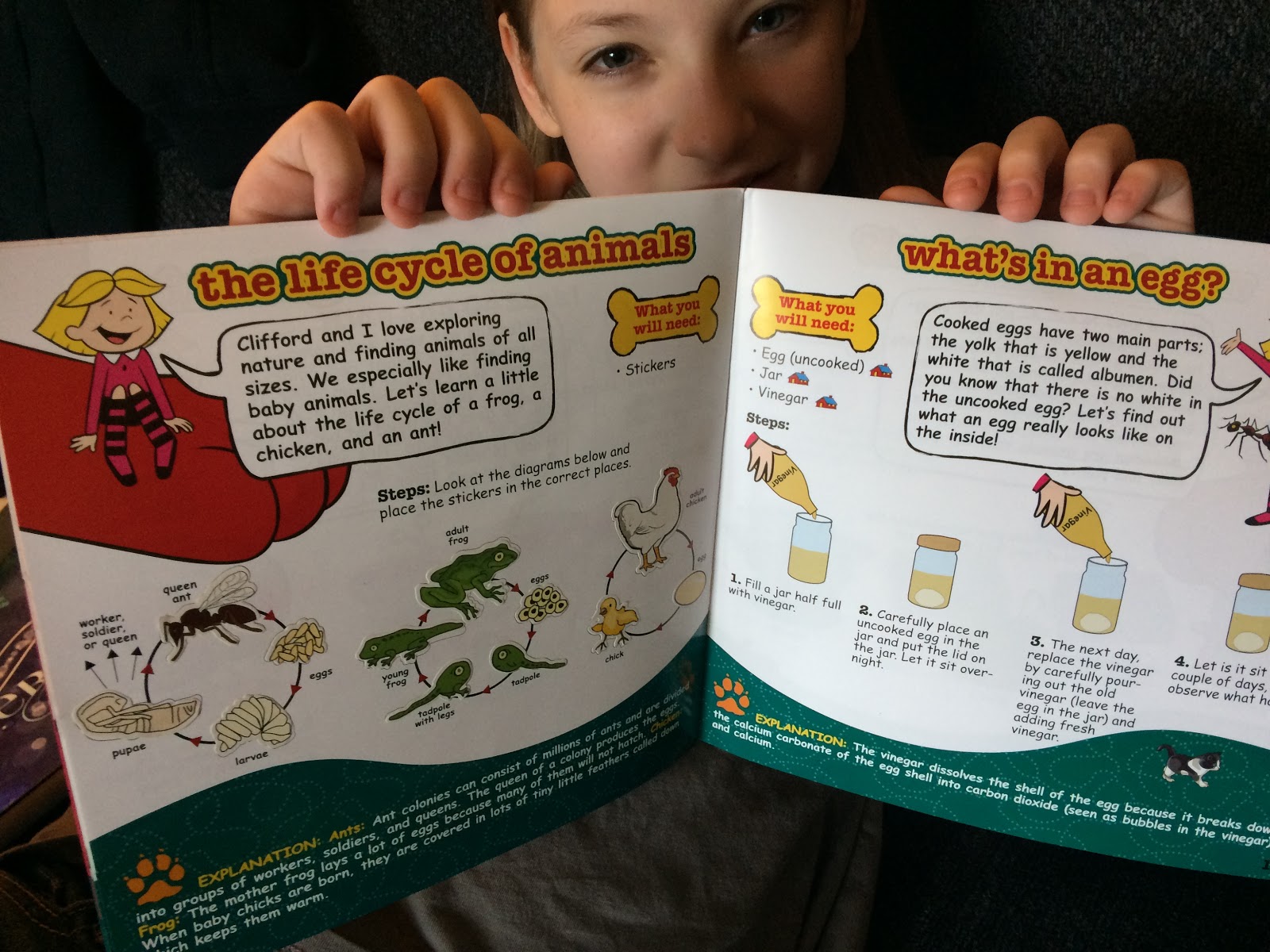 Summer Science with Clifford The Big Red Dog: Animal Science Kit