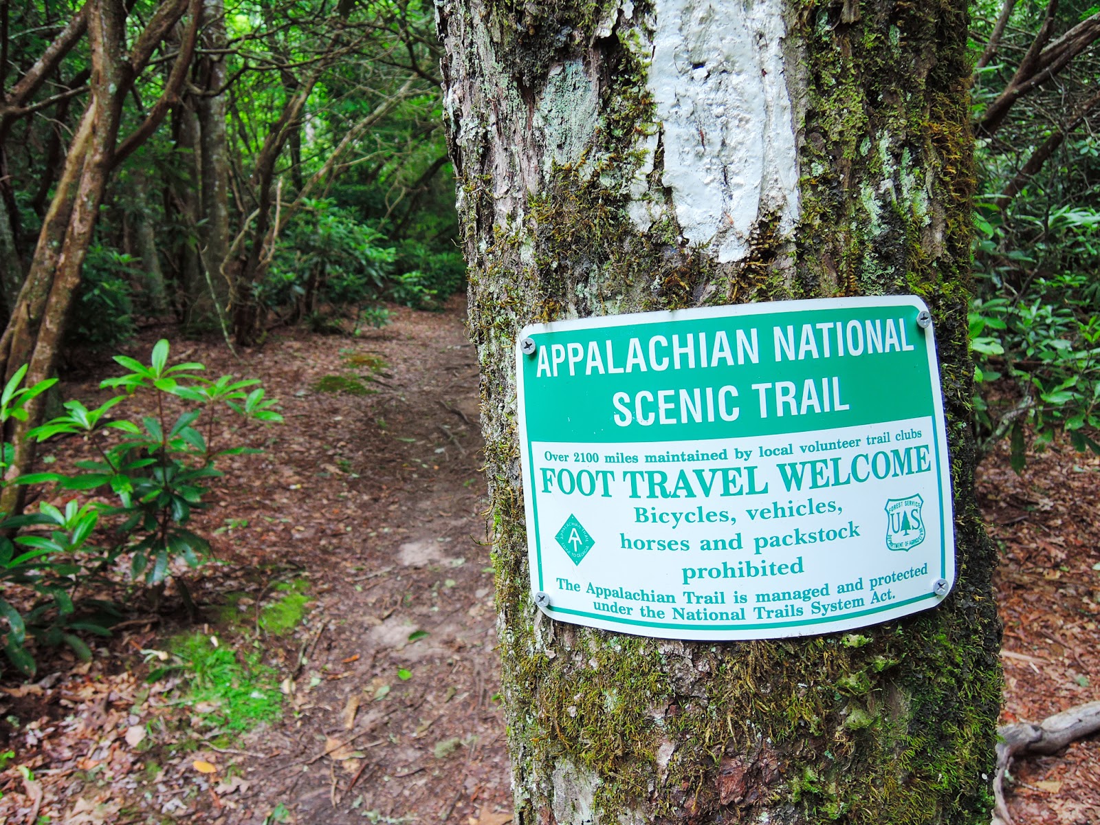 Adventurelaus: Standing Indian Loop Hike