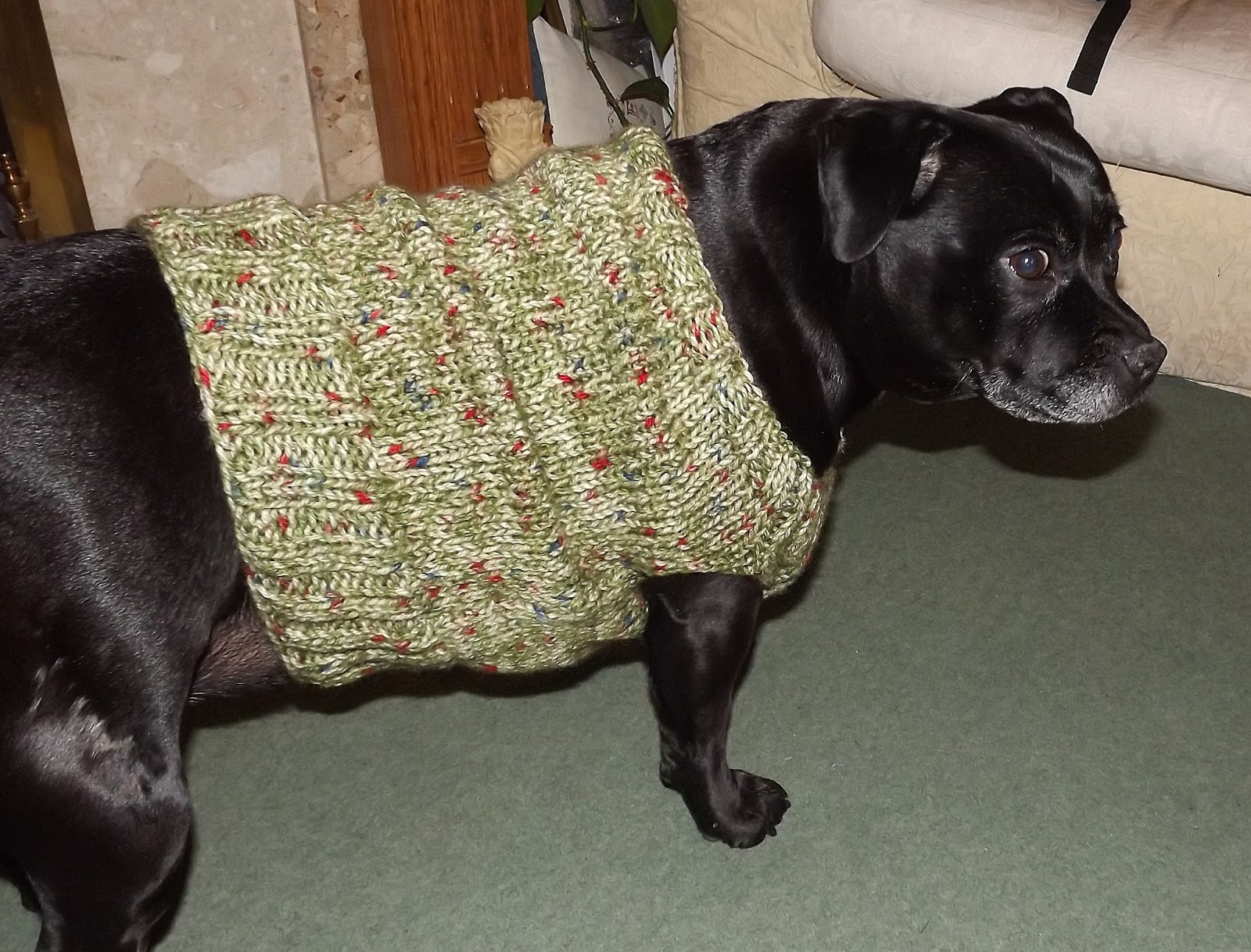 Tilly's Crafts: Tilly The Dog - Supermodel!